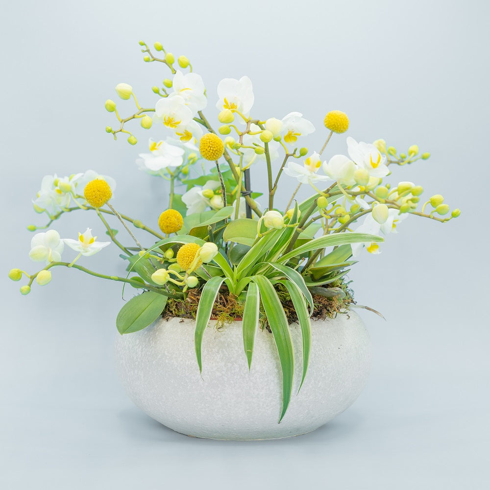 Flower Delivery Crouch End - Same Day - Flowers & Plants Co.