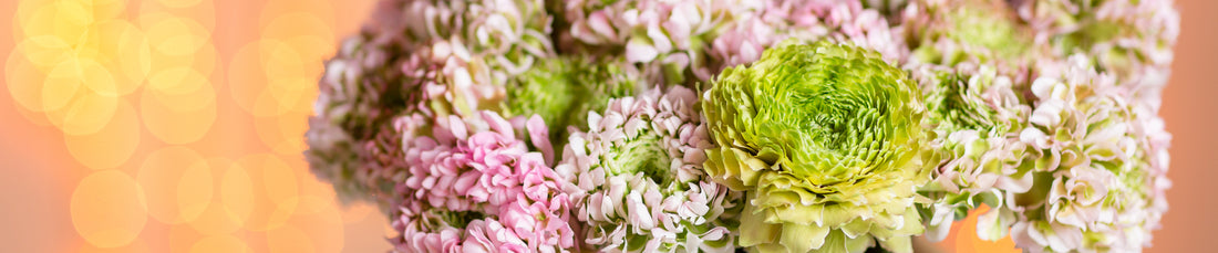 Chocolates – Flowers & Plants Co